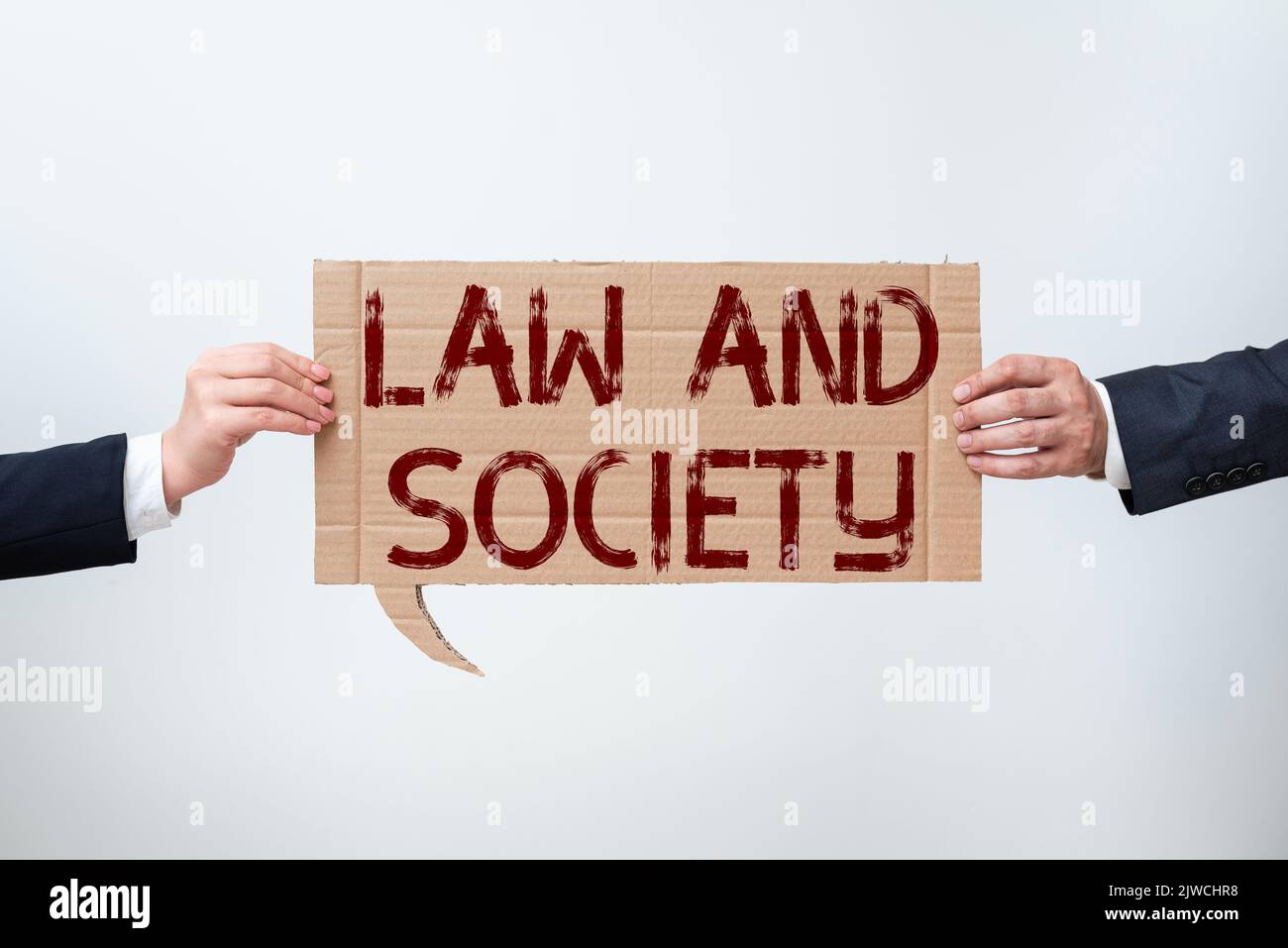 Conceptual display Law And SocietyAddress the mutual relationship ...