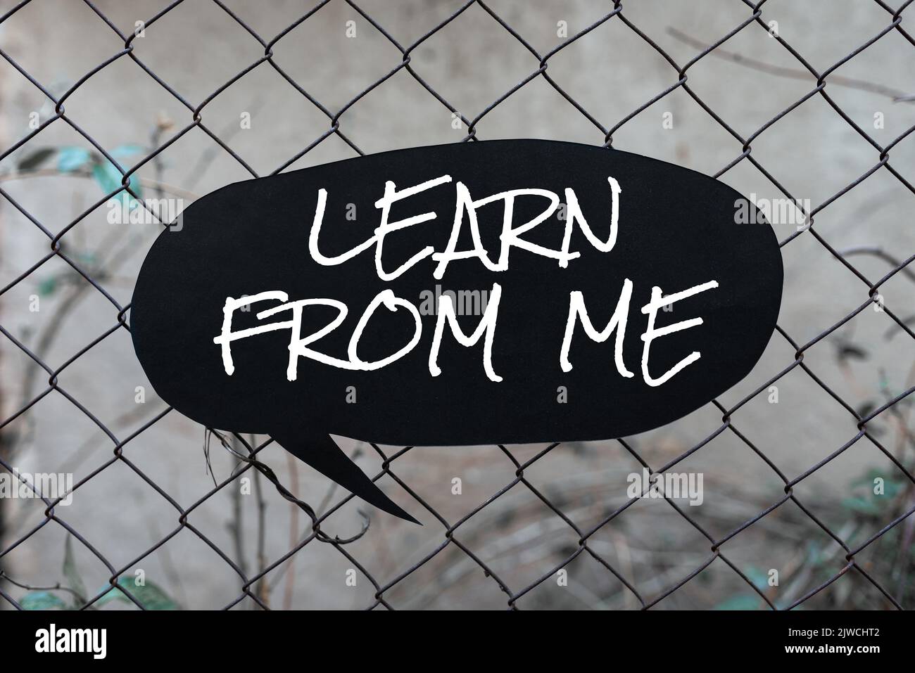 Text showing inspiration Learn From Me. Business showcase Follow my ...