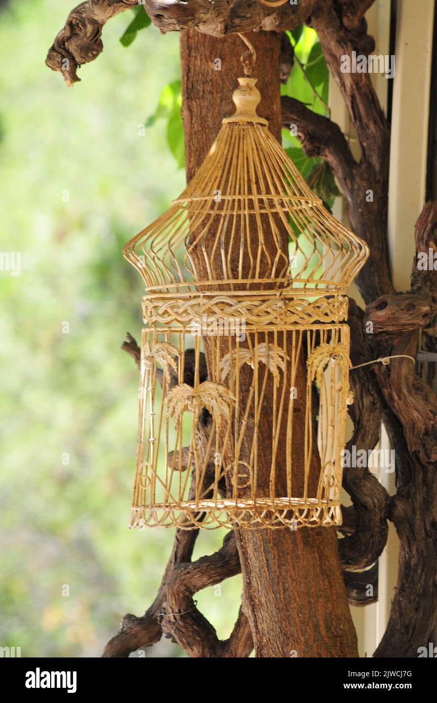 Empty wooden yellow bird cage hi-res stock photography and images - Alamy