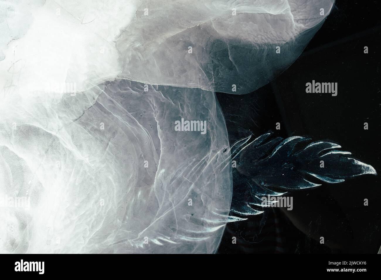 mysterious background smoke cloud white gray haze Stock Photo - Alamy