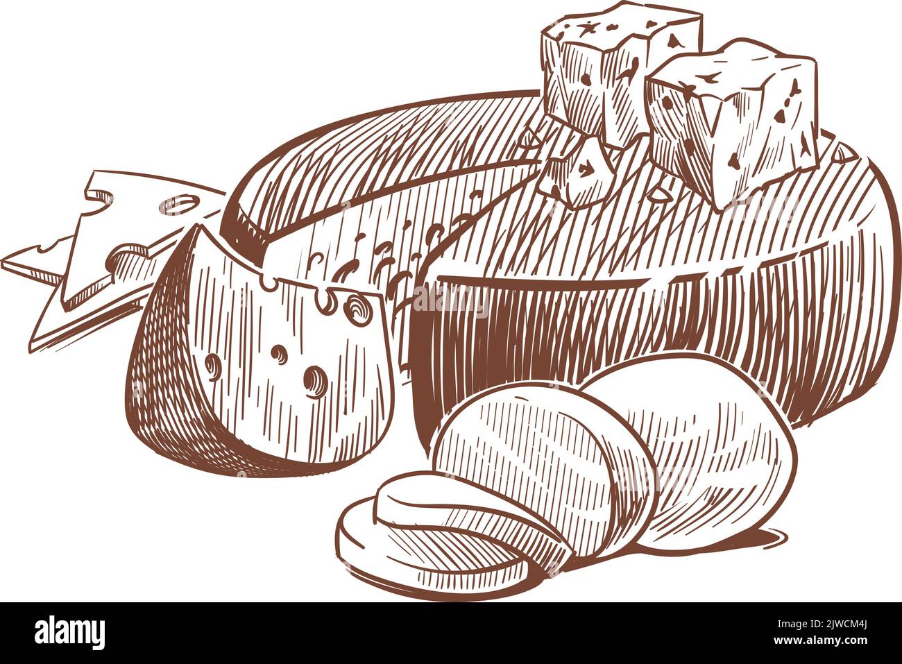 Sketch cheese. Art compositions with different types cheeses, whole ...