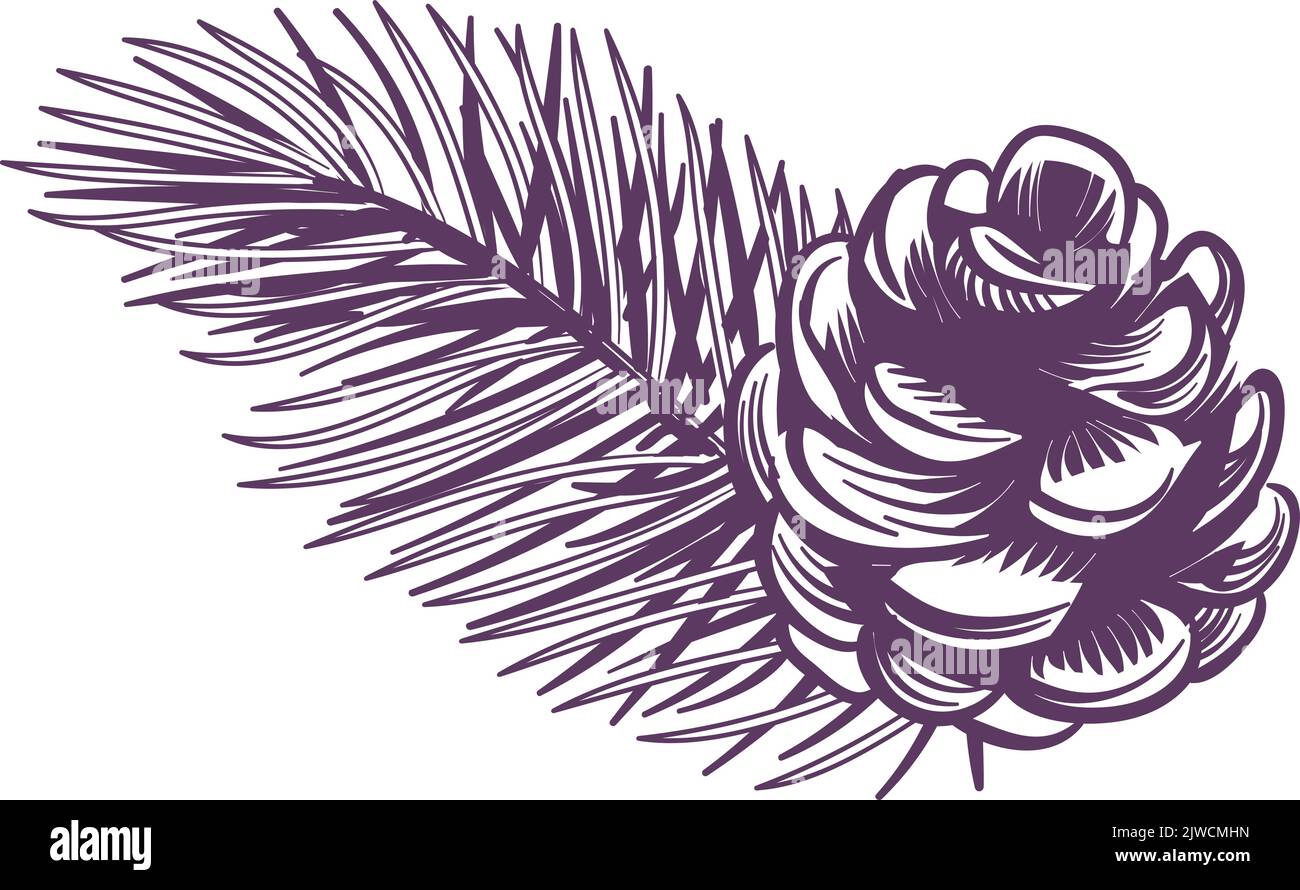 Xmas branch. Sketch style element. Retro christmas holly and evergreen ...