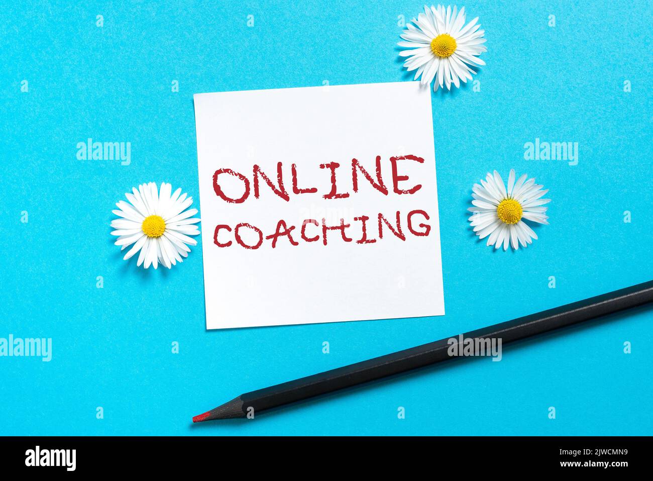 Conceptual display Online CoachingLearning from online and internet ...