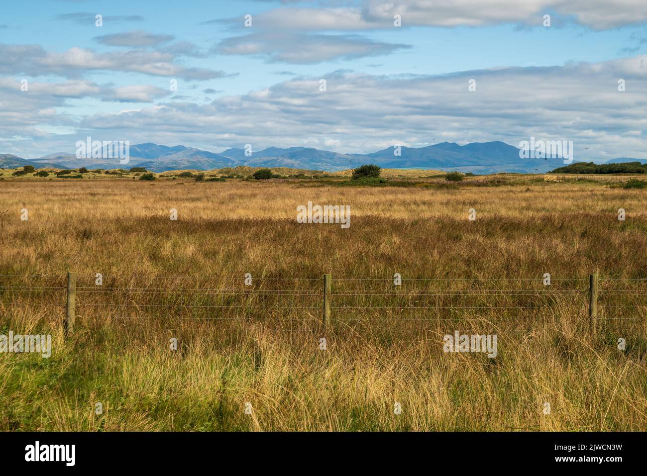 Sandscale Haws Nature Reserve, managed by the National Trust, with Lake ...