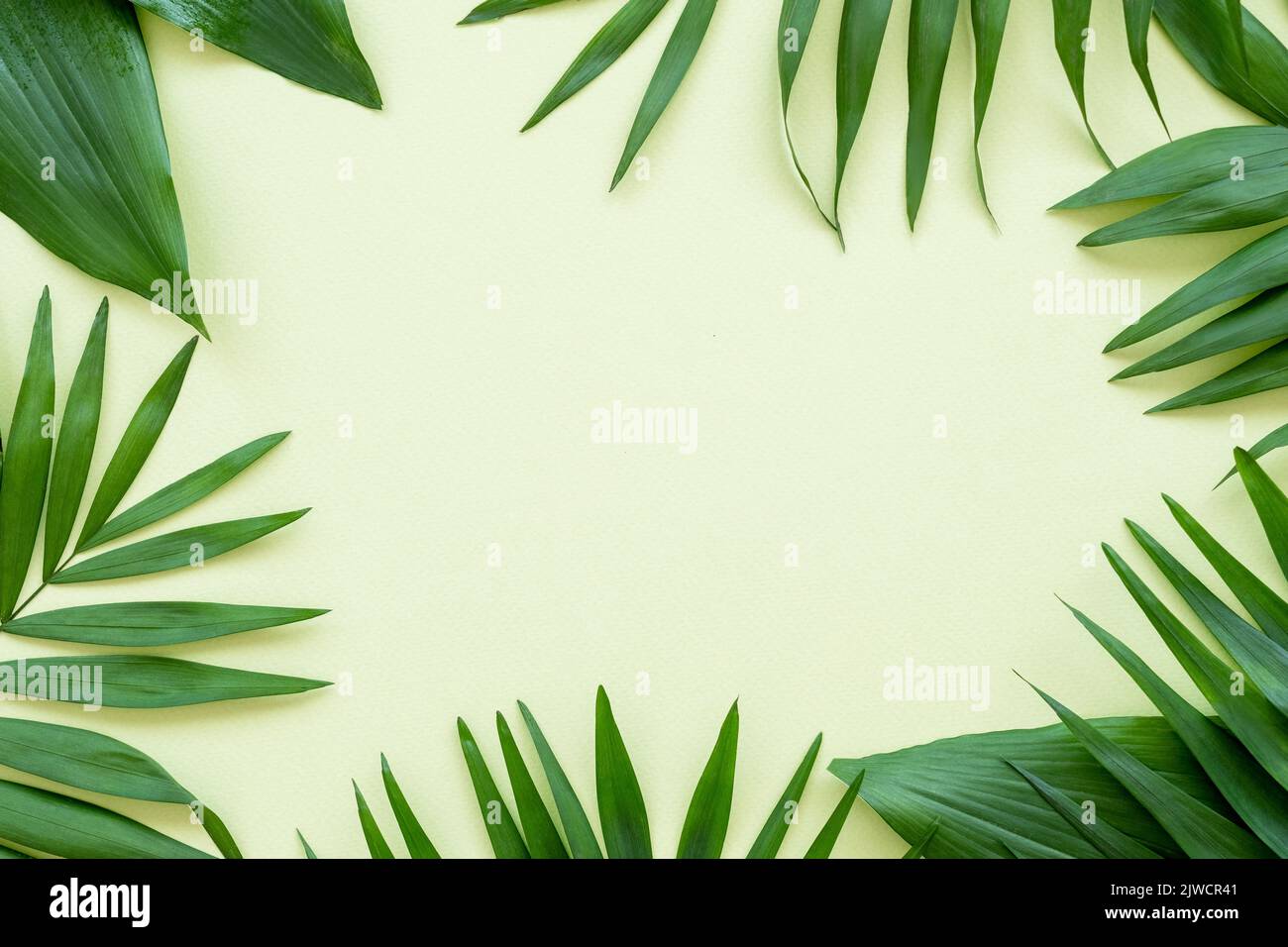 green leaves frame natural background lush foliage Stock Photo - Alamy