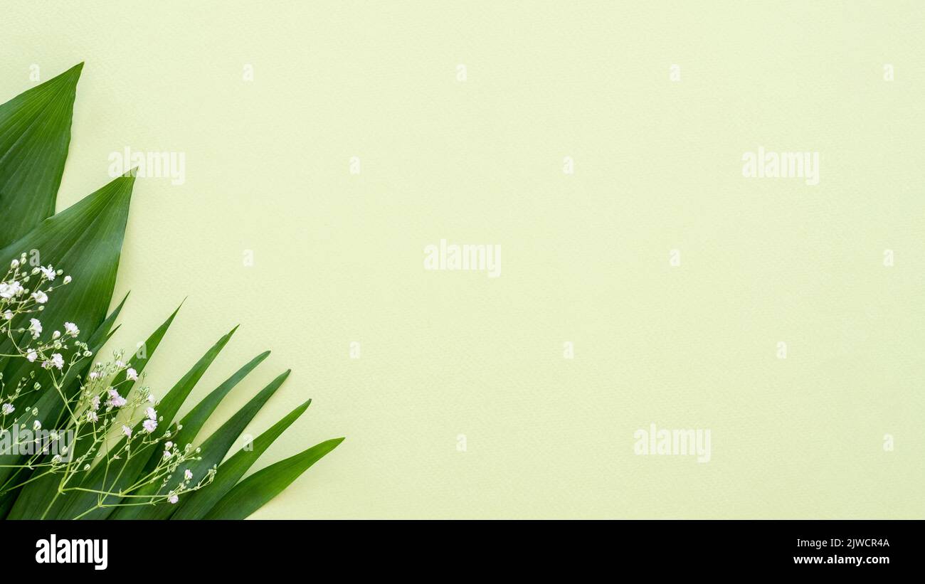 floral background greeting card green leaves decor Stock Photo - Alamy
