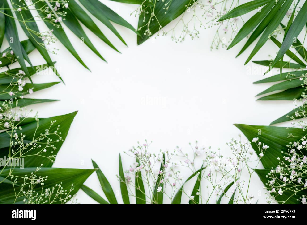green leaves frame natural background foliage Stock Photo - Alamy