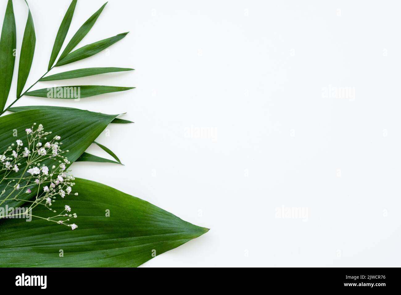 floral background natural composition green leaves Stock Photo - Alamy