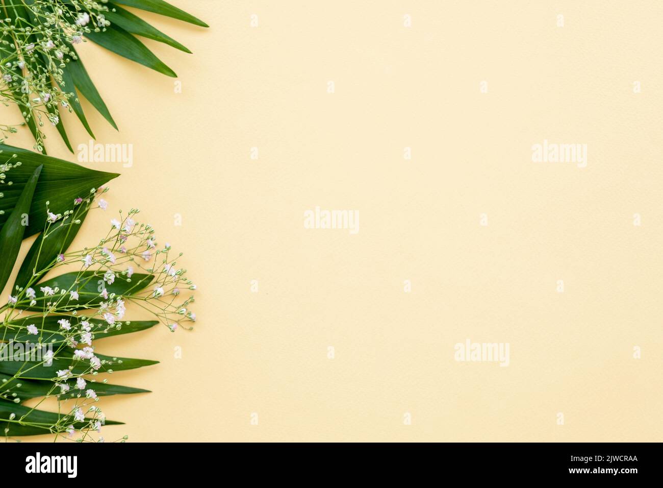 Peach floral hi-res stock photography and images - Alamy