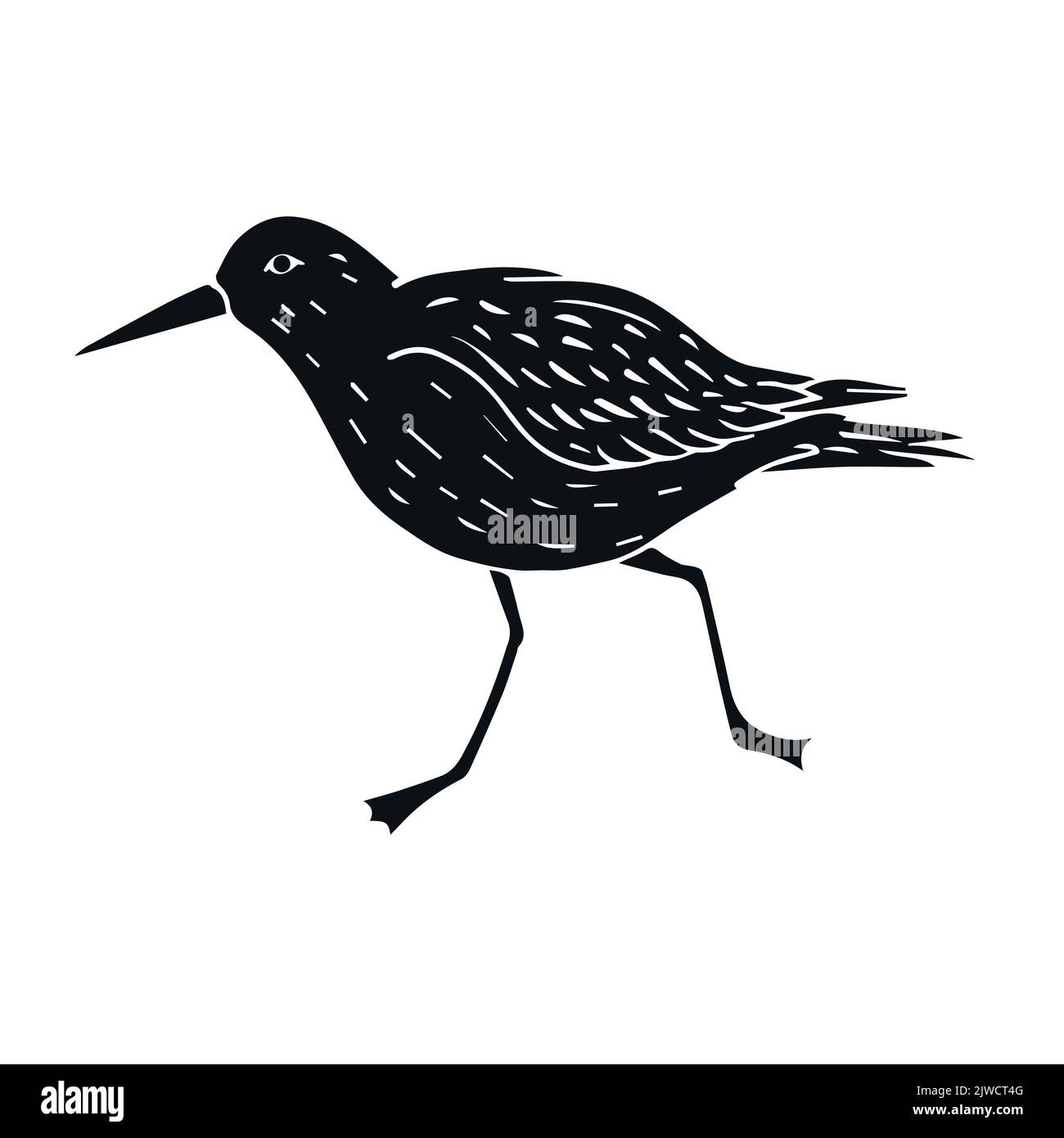 Vector hand drawn doodle sketch black sandpiper bird isolated on white background Stock Vector ...