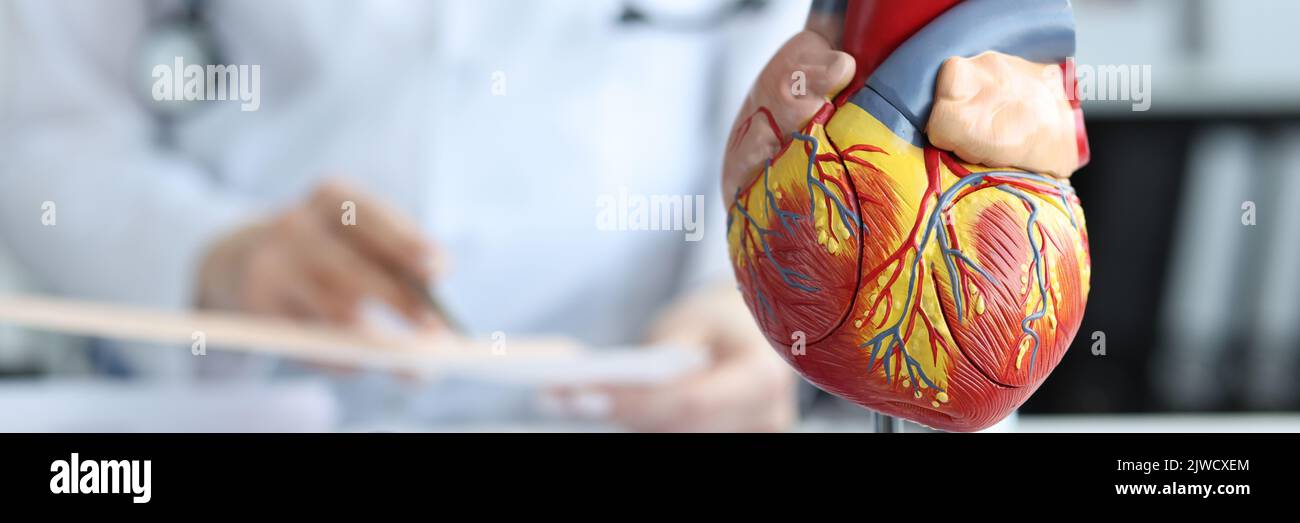 Artificial plastic model of human heart standing against background of ...