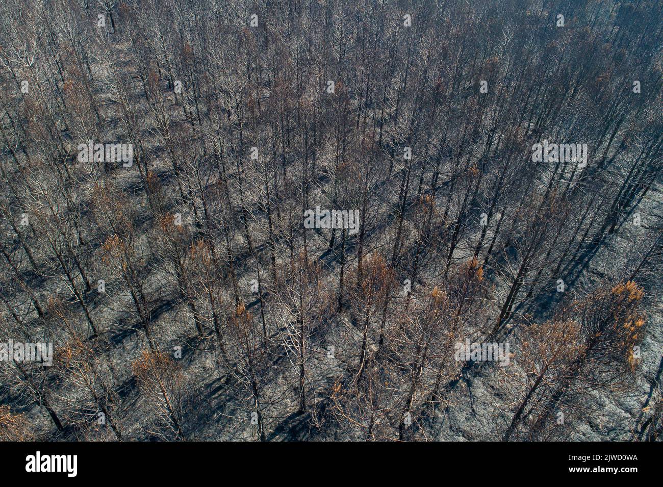 Deforestation consequences hi-res stock photography and images - Alamy
