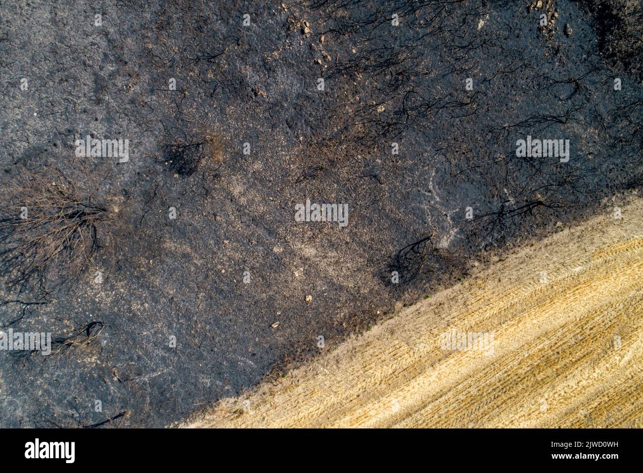 aerial view of scrubland burnt by fire next to a field of mown wheat ...