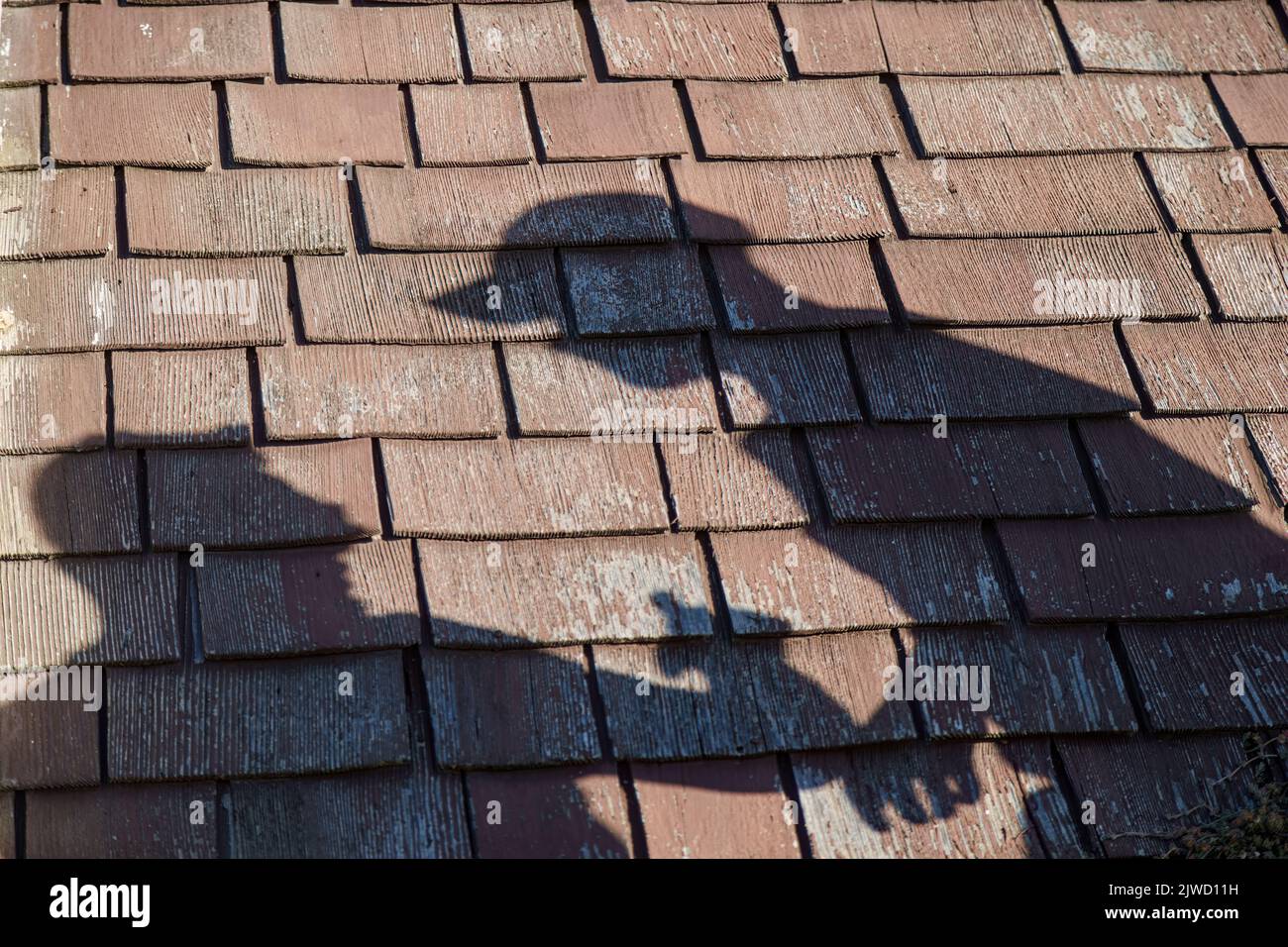 The shadows on the brick wall of two men talking Stock Photo - Alamy