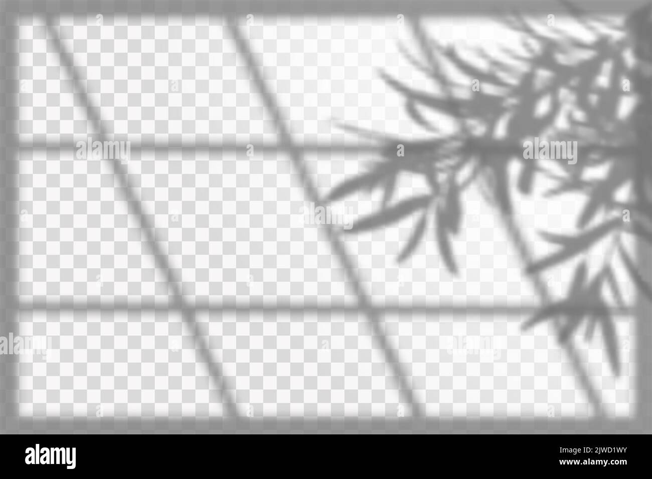 Scenes of natural lighting.Soft shadow form window and plants, light ...