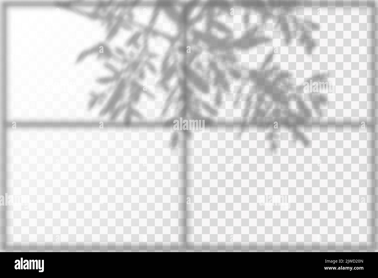 Scenes of natural lighting.Soft shadow form window and plants, light ...