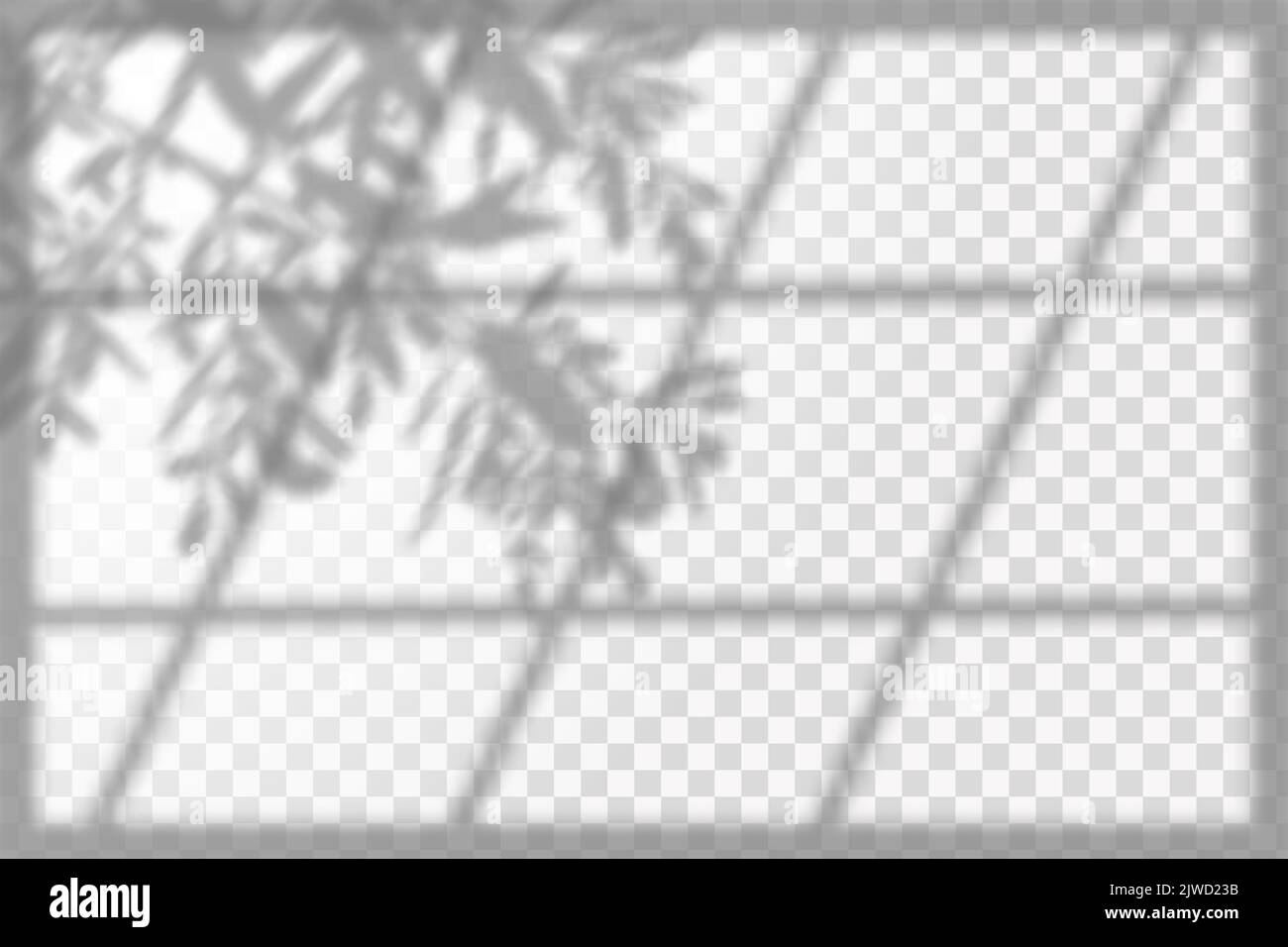 Scenes of natural lighting.Soft shadow form window and plants, light ...