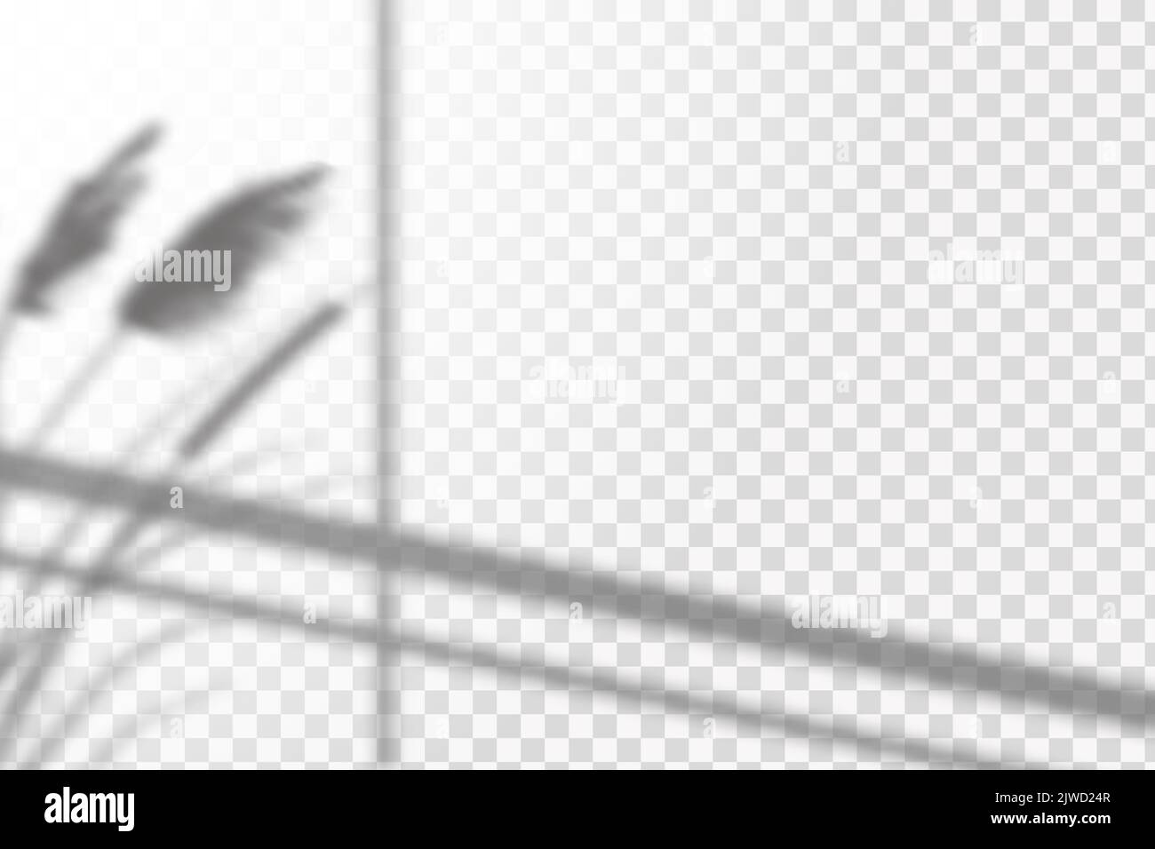 Scenes of natural lighting.Soft shadow form window and plants, light ...