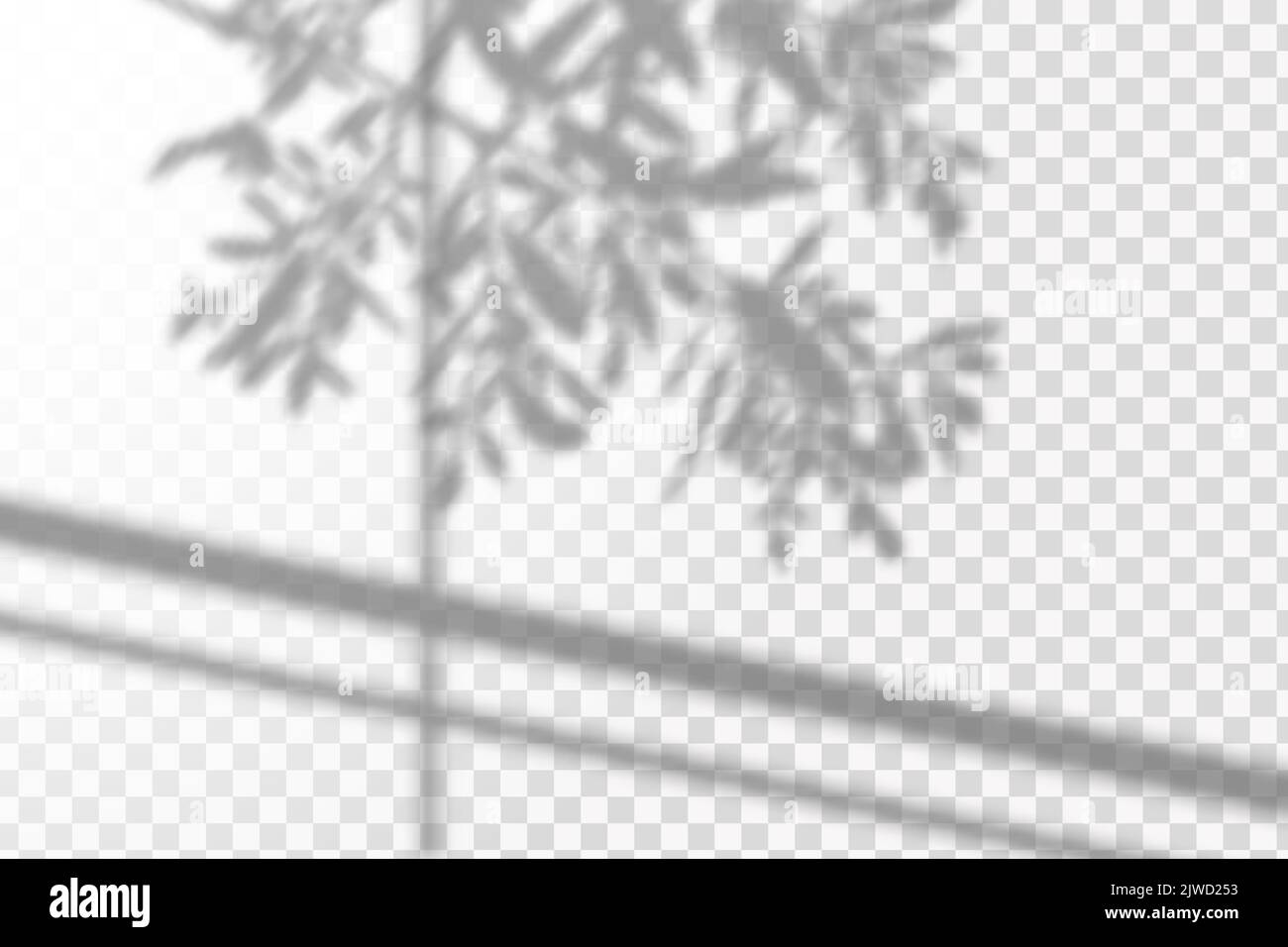 Scenes of natural lighting.Soft shadow form window and plants, light ...