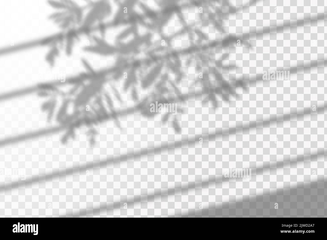 Scenes of natural lighting.Soft shadow form window and plants, light ...