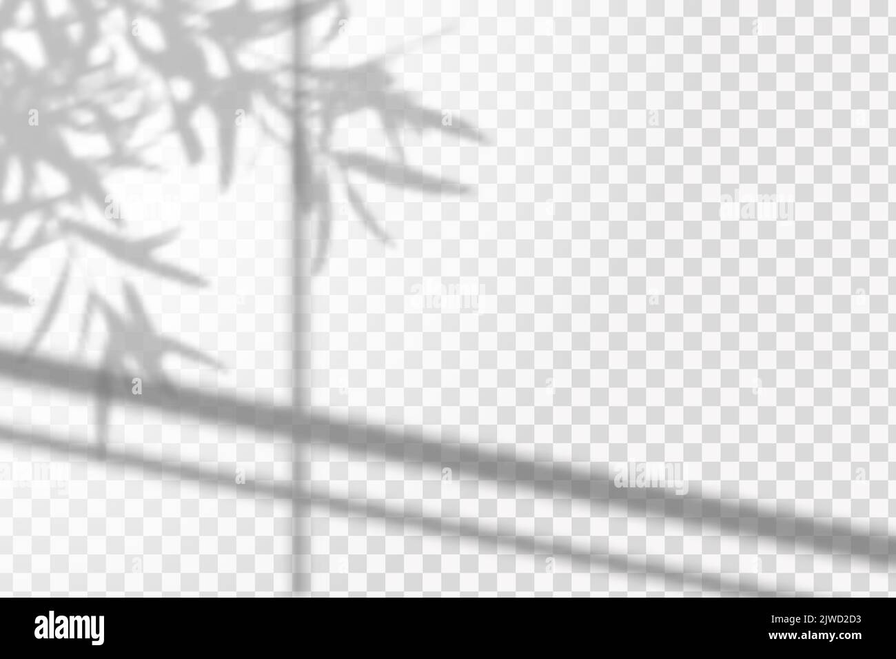 Scenes of natural lighting.Soft shadow form window and plants, light ...