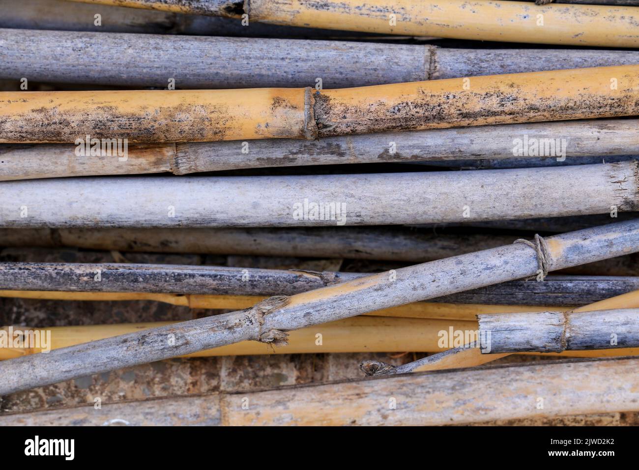 Texture and background of dry reeds on the ground Stock Photo - Alamy