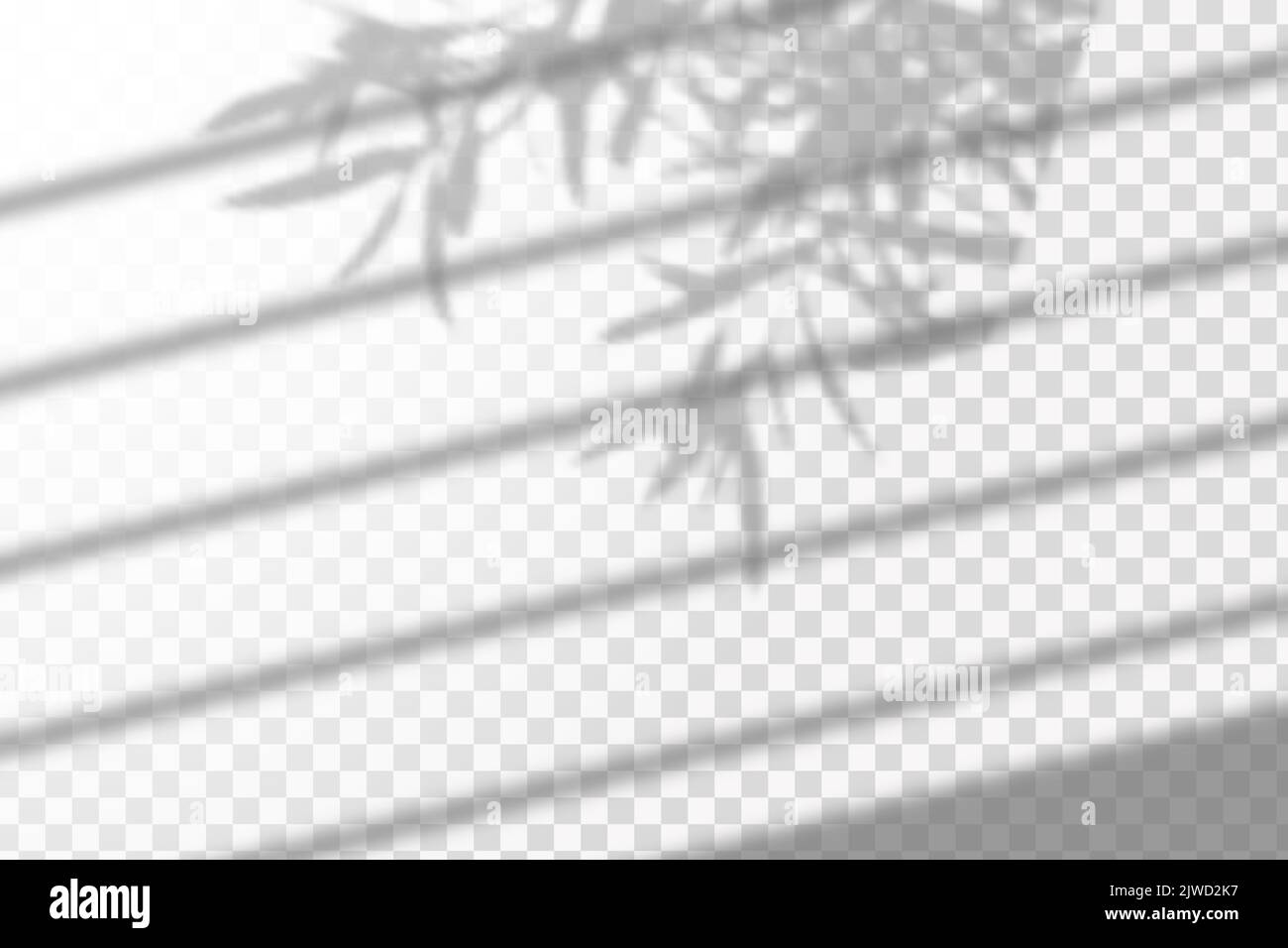 Scenes of natural lighting.Soft shadow form window and plants, light ...