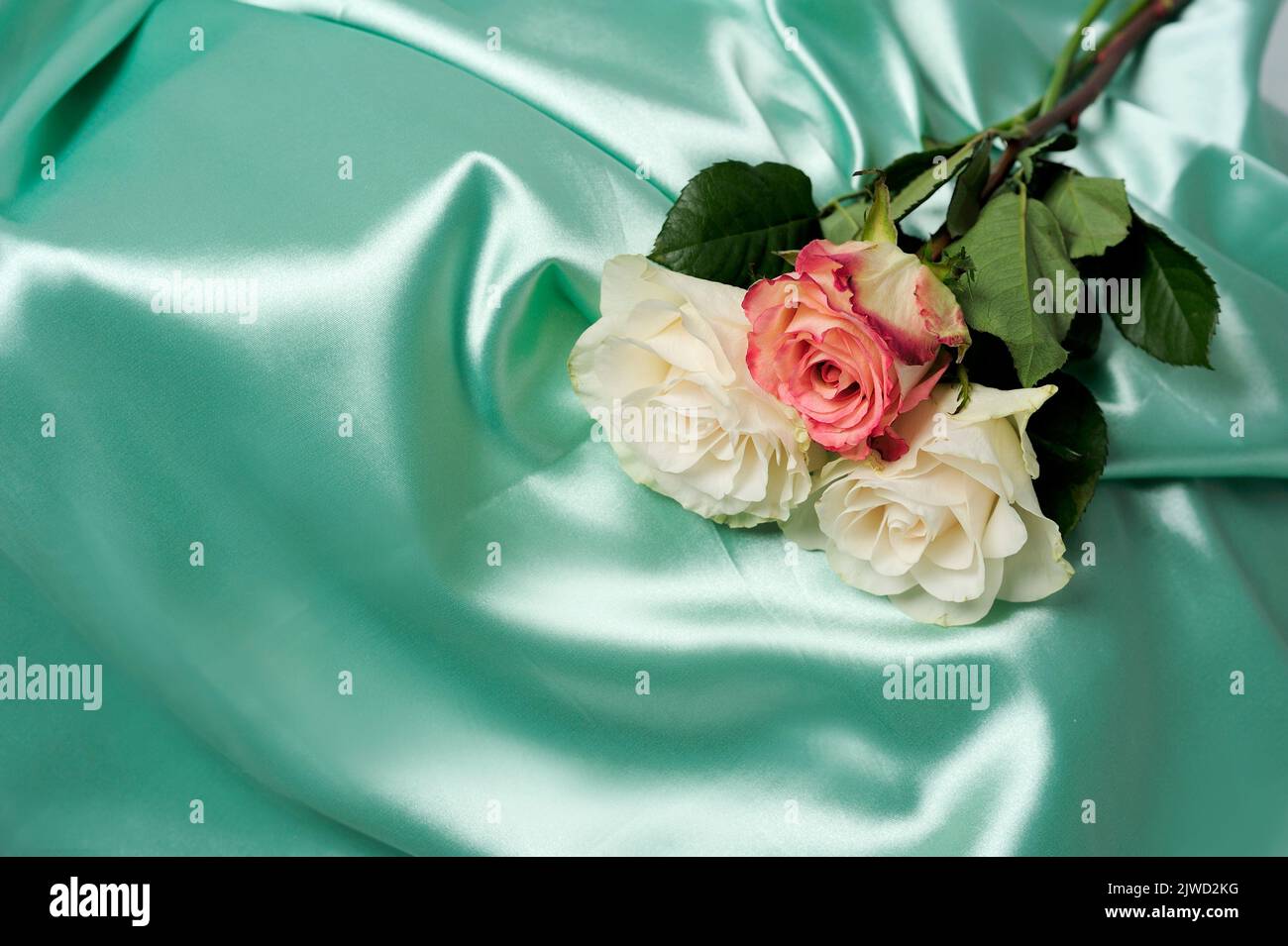 art, arrangement, roses, bouquet, bunch, fresh, flowers, passion ...