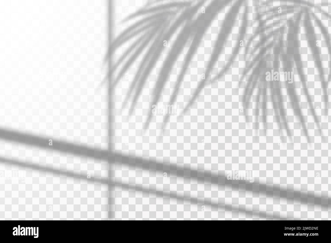 Scenes of natural lighting.Soft shadow form window and plants, light ...