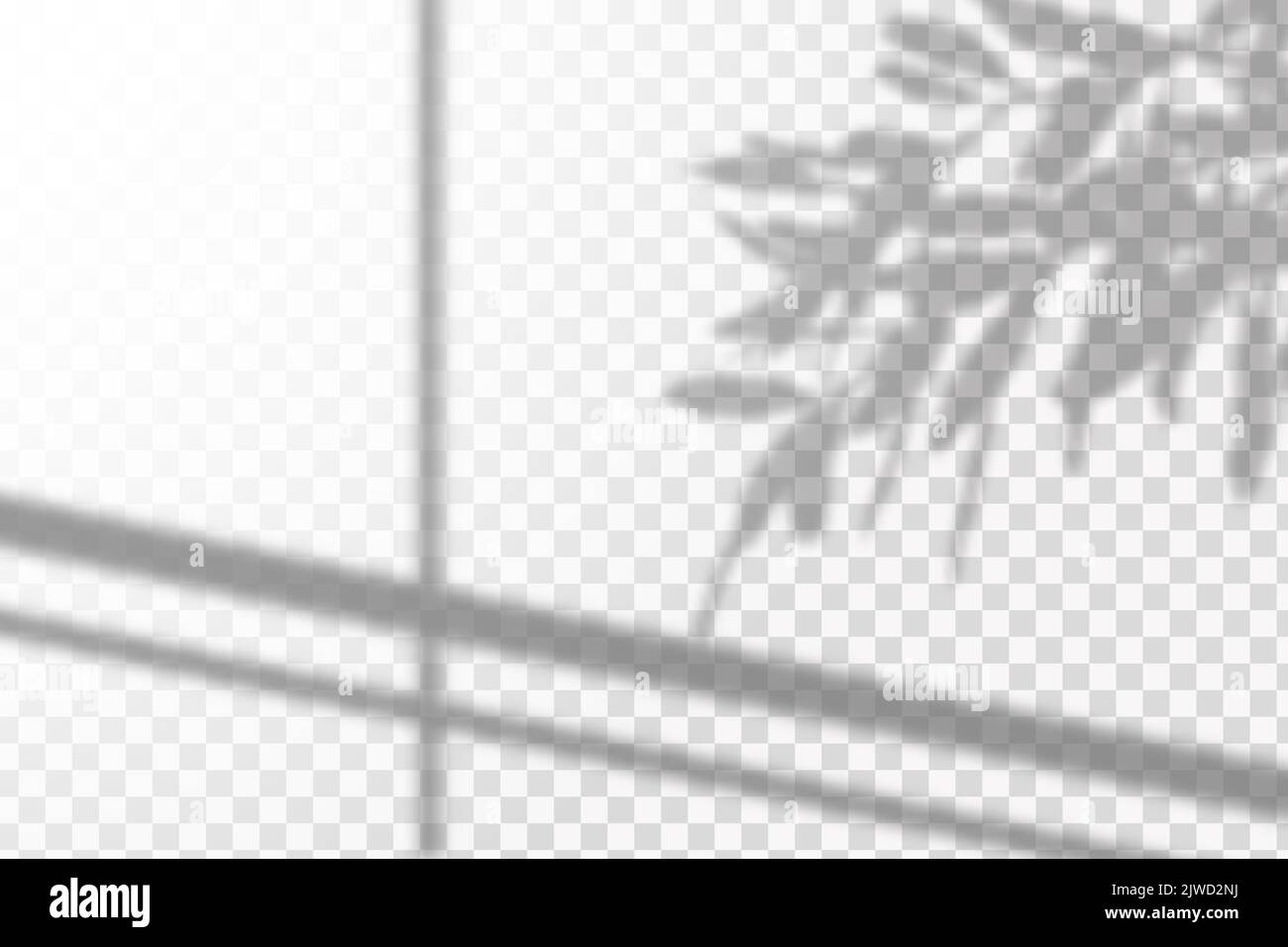 Scenes of natural lighting.Soft shadow form window and plants, light ...