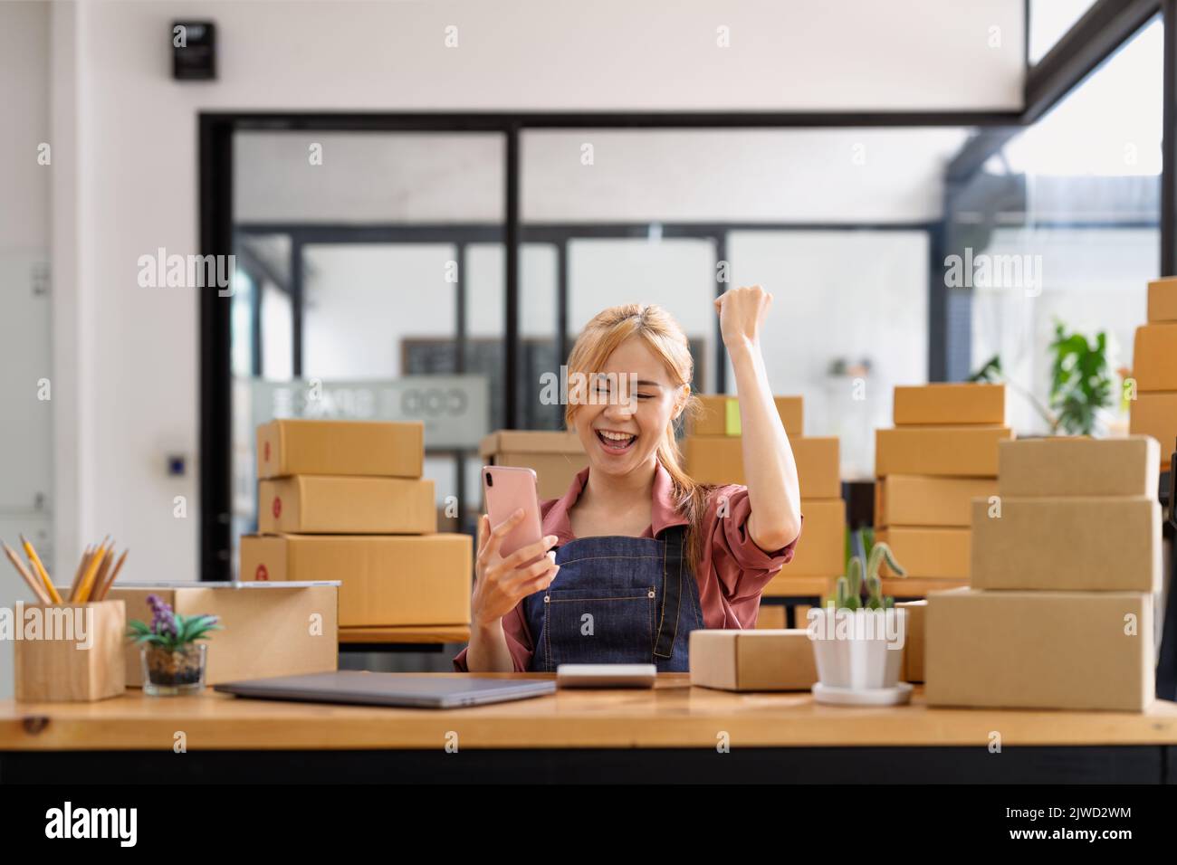 Happy young asian woman entrepreneur, Smile for sales success after ...