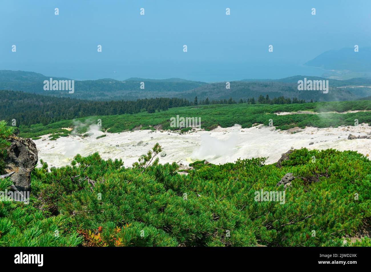 fumarole field on the slope of Mendeleev volcano on Kunashir island ...