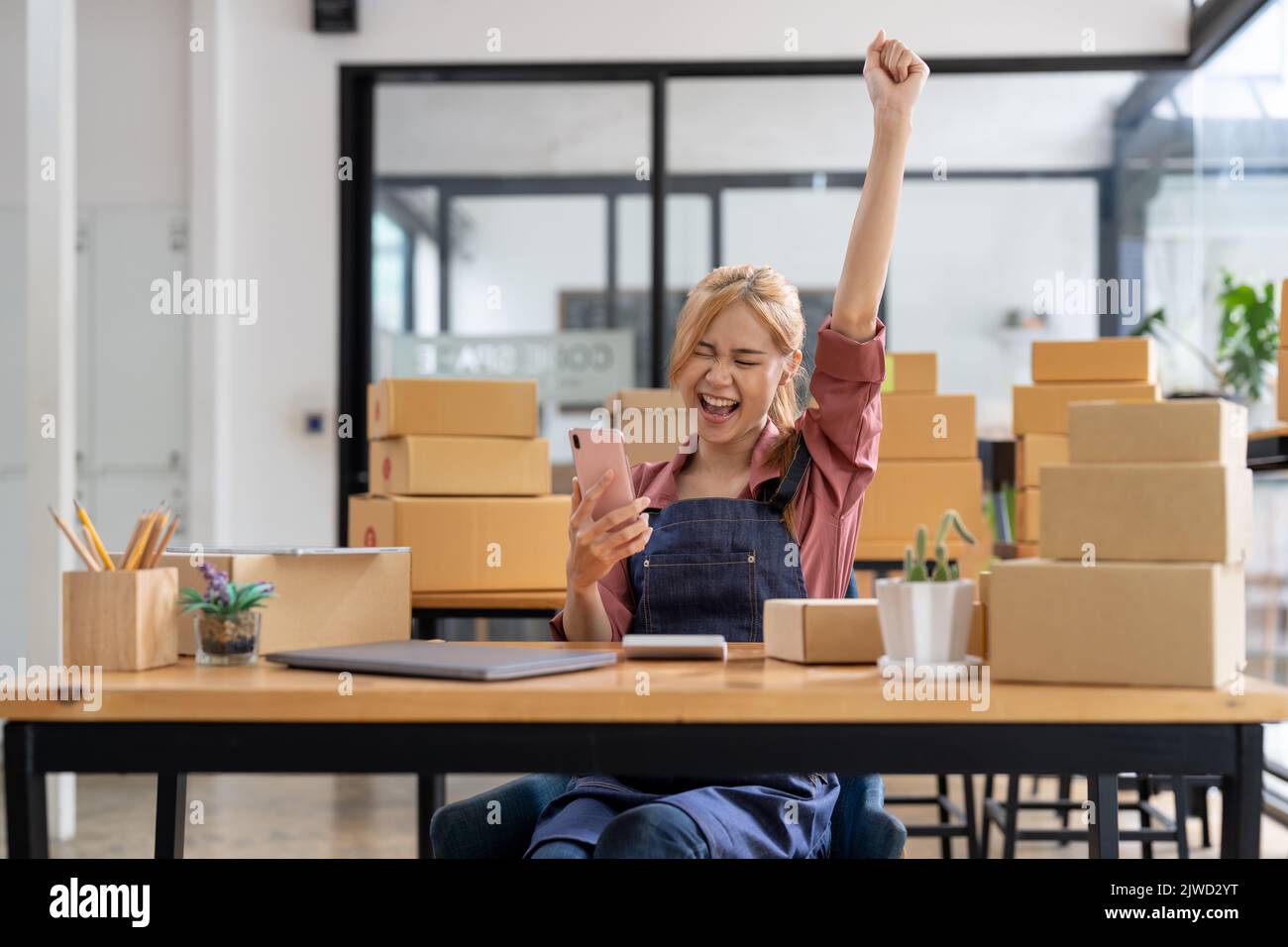 Happy young asian woman entrepreneur, Smile for sales success after ...