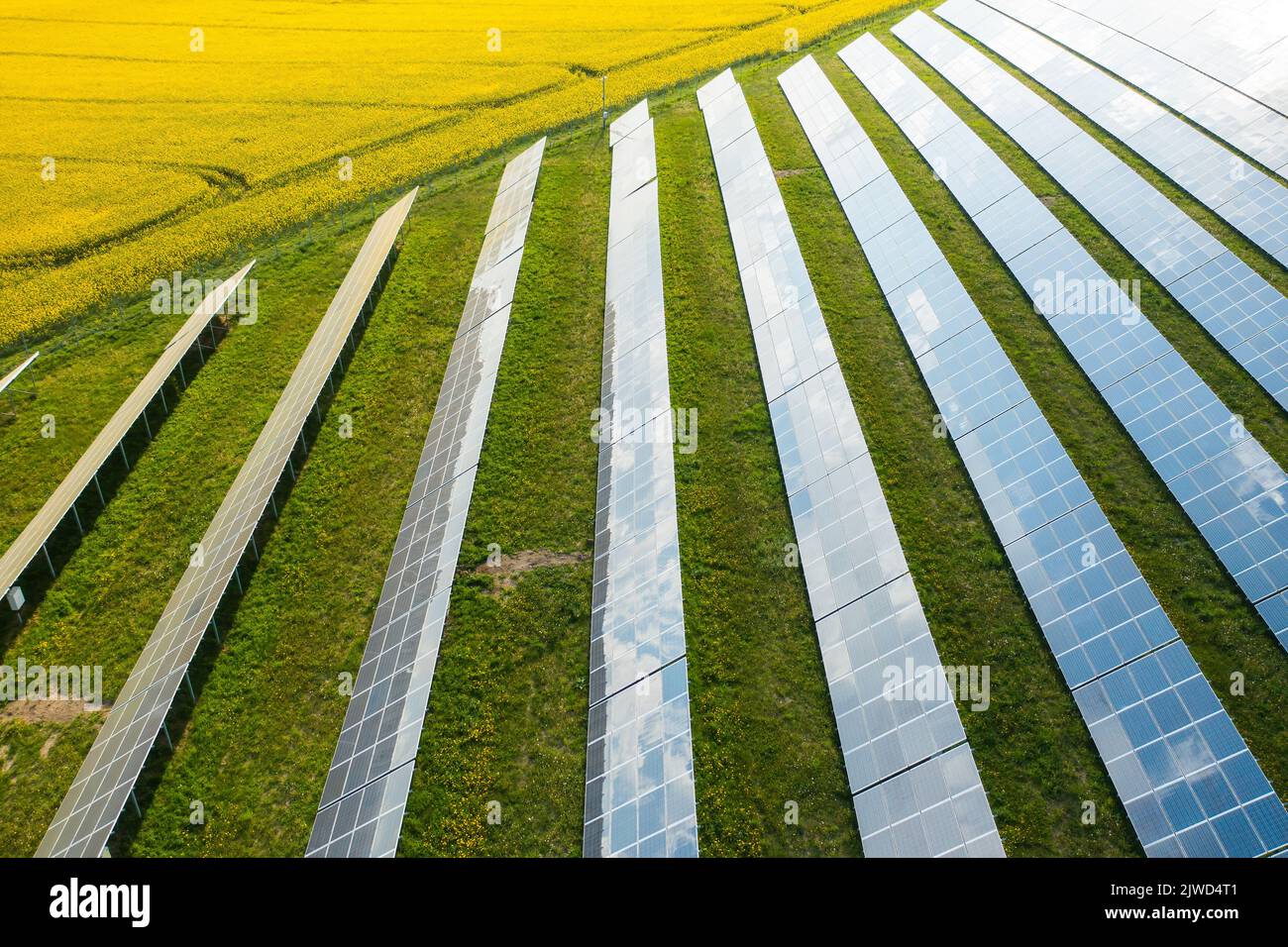 Long rows of sun panels built on green field. Innovative photovoltaic ...