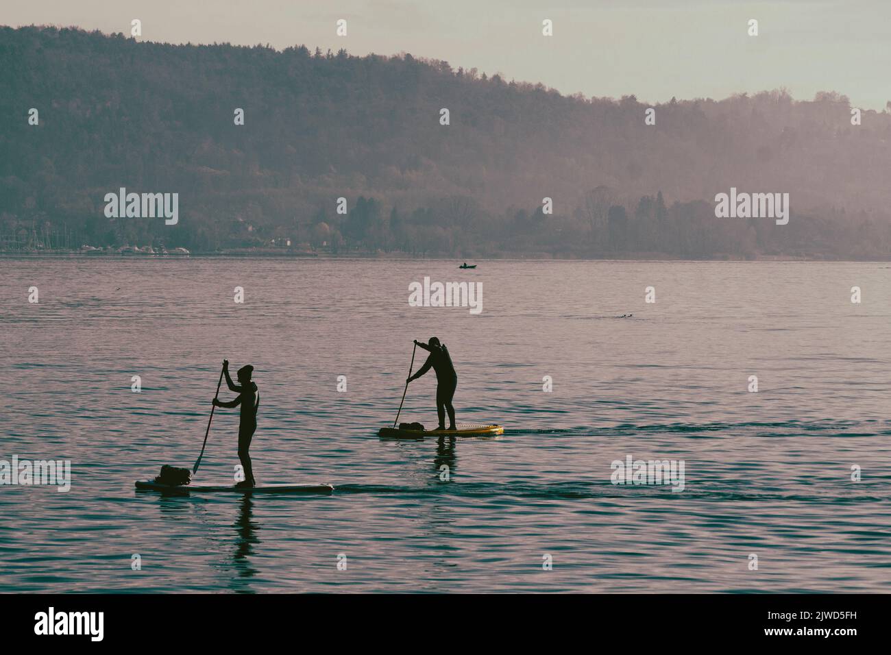High angle view of a two men standing up paddle board in Lake Maggiore ...