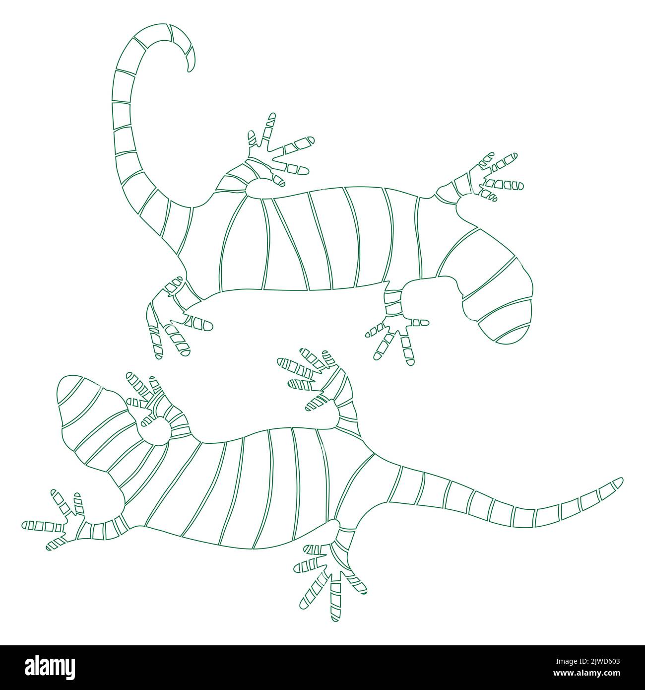 Set of lizards reptile gecko outline vector illustration. Simple line ...