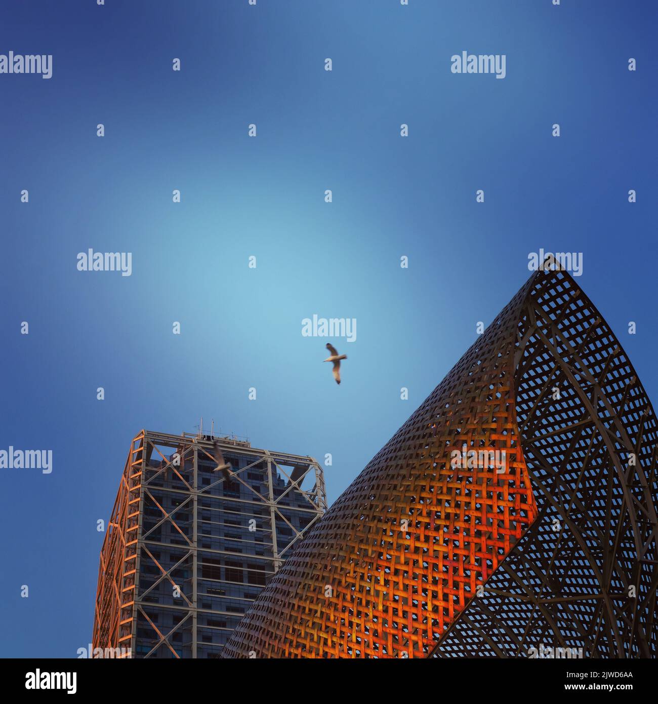 Frank Gehry’s Golden Fish Sculpture Barcelona Stock Photo - Alamy