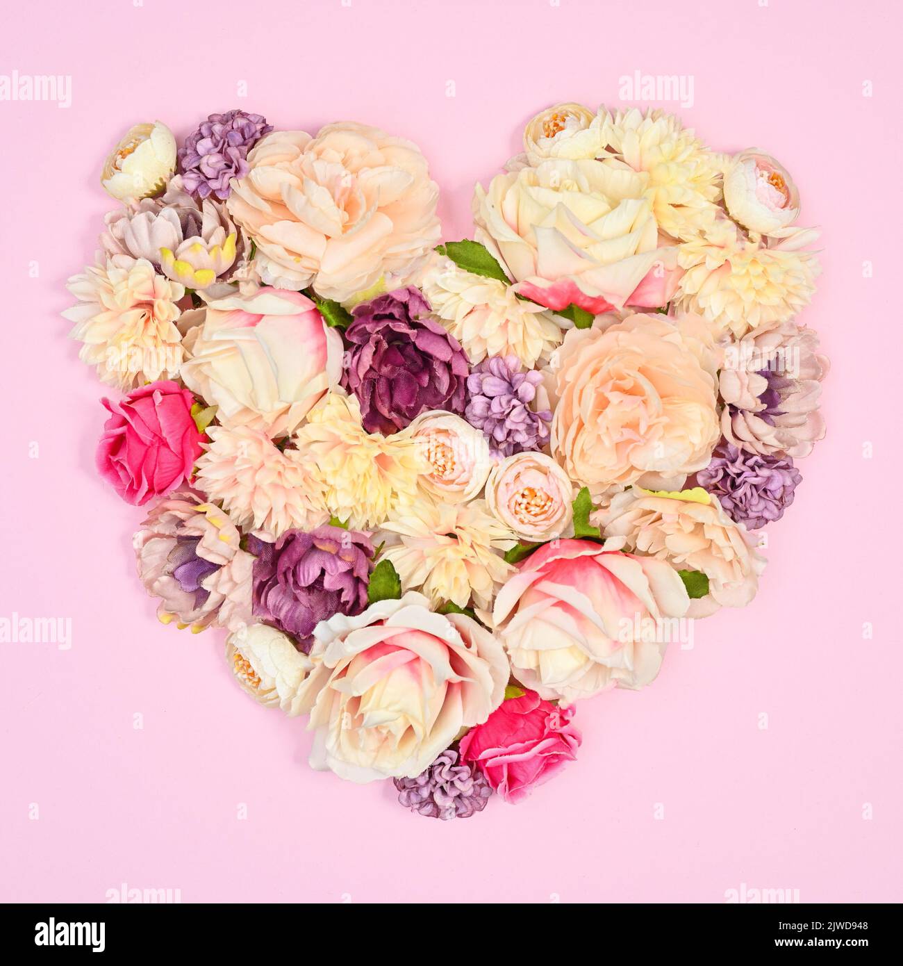 Heart shape made with natural spring flowers on pastel pink background ...