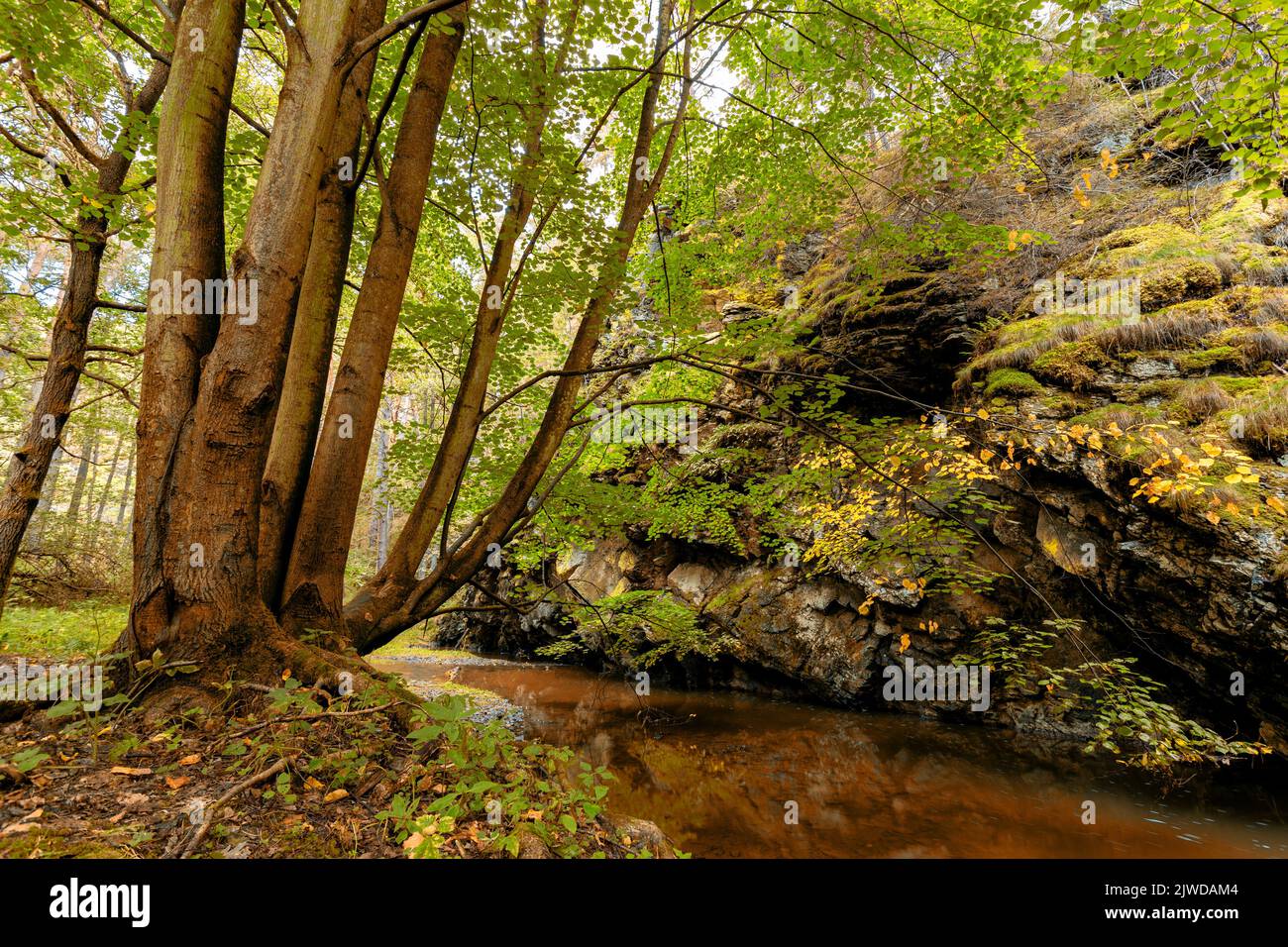 Nature reserve Zidova strouha (Židova strouha - in czech) near city ...