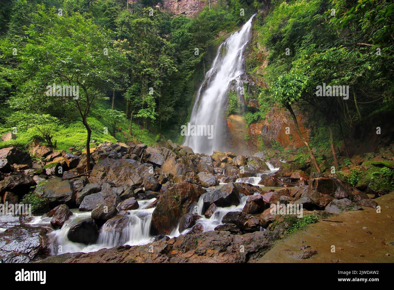 big cascade, beautiful waterfall in green forest Stock Photo - Alamy