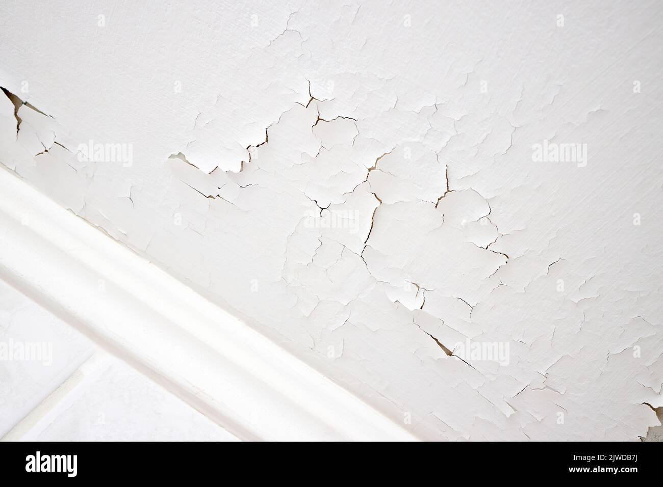 Swelling leaking of whitewash and plaster on ceiling of dwelling due to ...