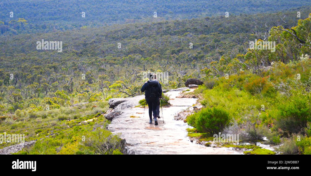 Briggs Bluff hike Stock Photo - Alamy