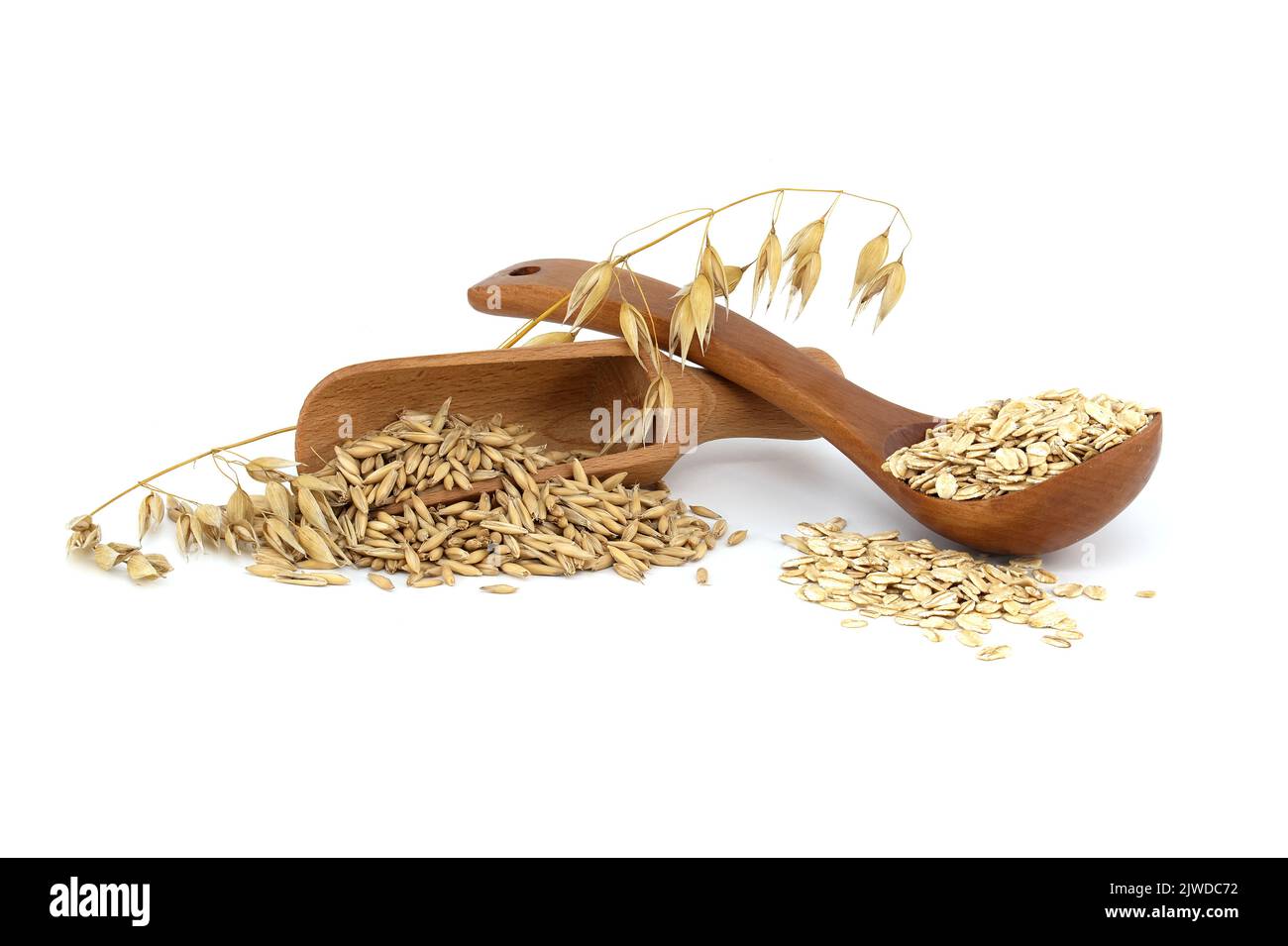 Oat grains with hulls or husks in wooden scoop and oats groats rolled ...