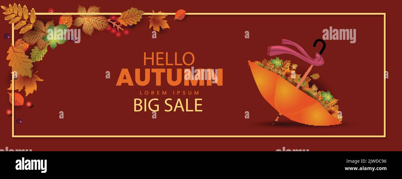 hello Autumn stylish background decorate with leaves and fruits. web ...