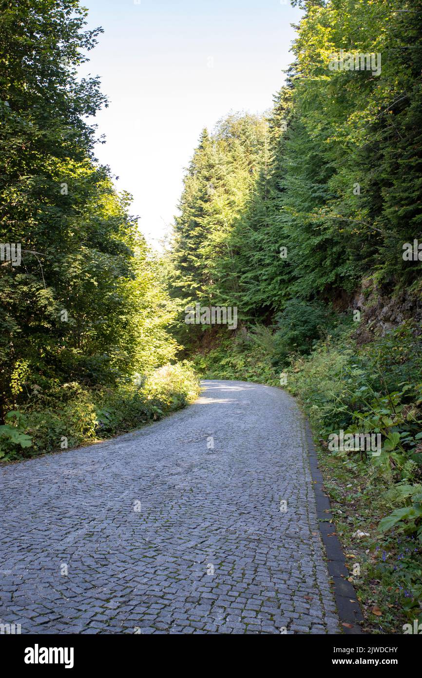 Stone paved road hi-res stock photography and images - Alamy