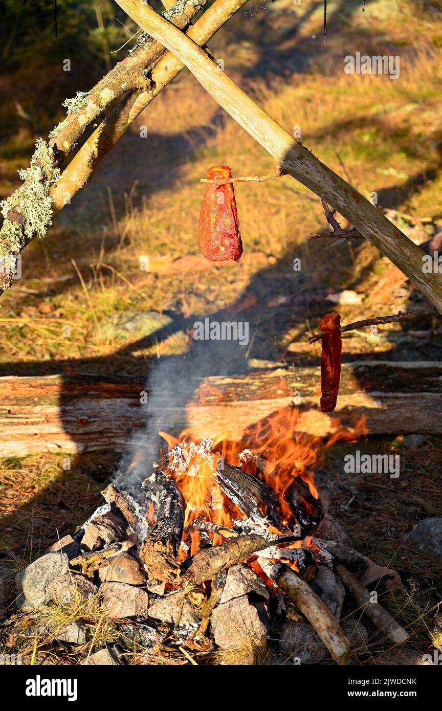 campfire with hanging meat from tripod for dinner Stock Photo - Alamy
