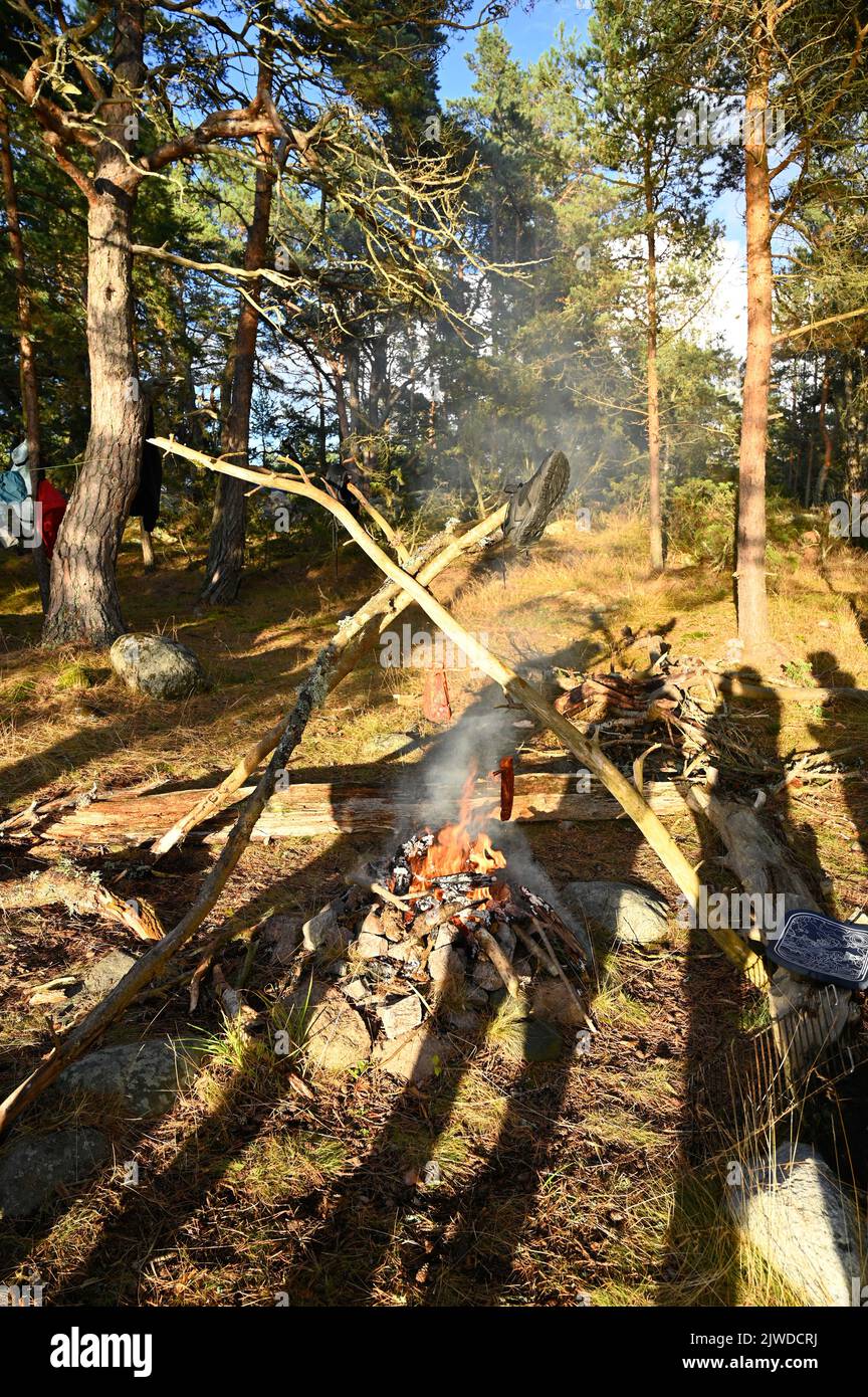 campfire with hanging meat from tripod for dinner Stock Photo - Alamy