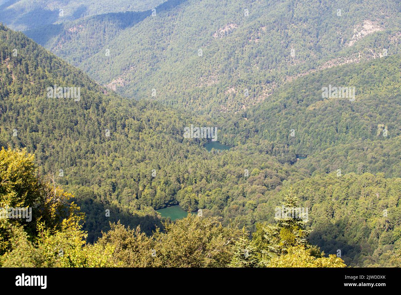 Lake hidden in the forest. View of forest and lake from above. Bolu ...
