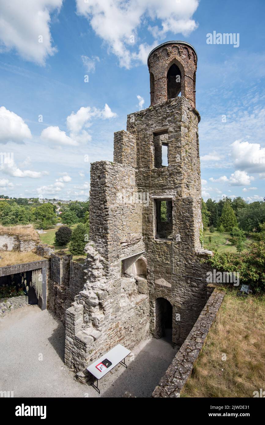 Tower at Blarney Castle and Gardens, Blarney, Co. Cork Stock Photo - Alamy