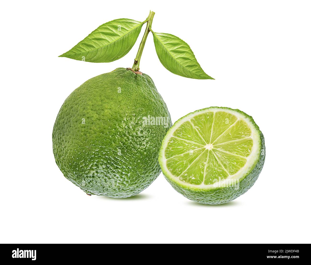 Fresh green lime isolated on white background. Citrus and tropical ...